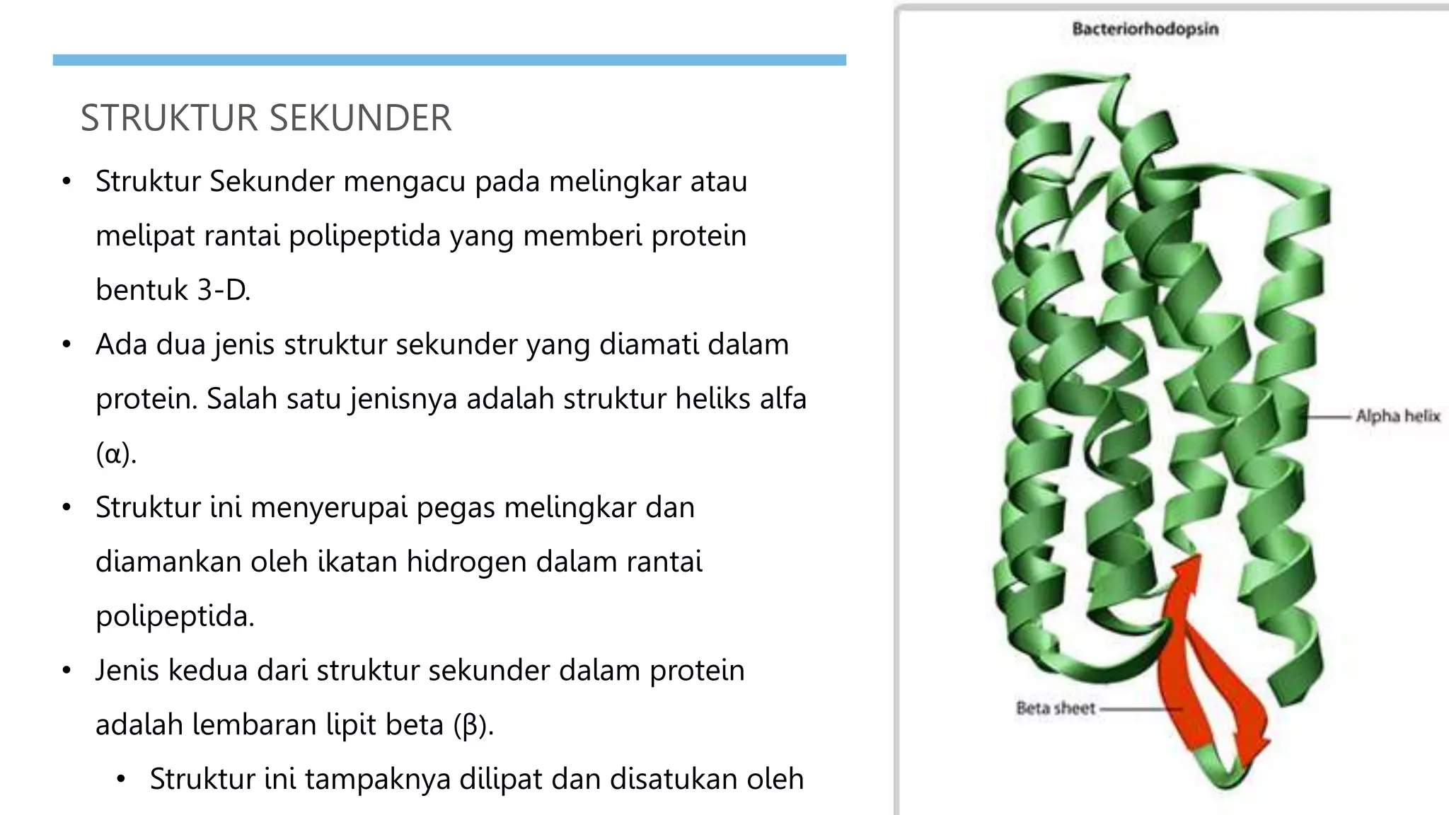 structure protein.pptx