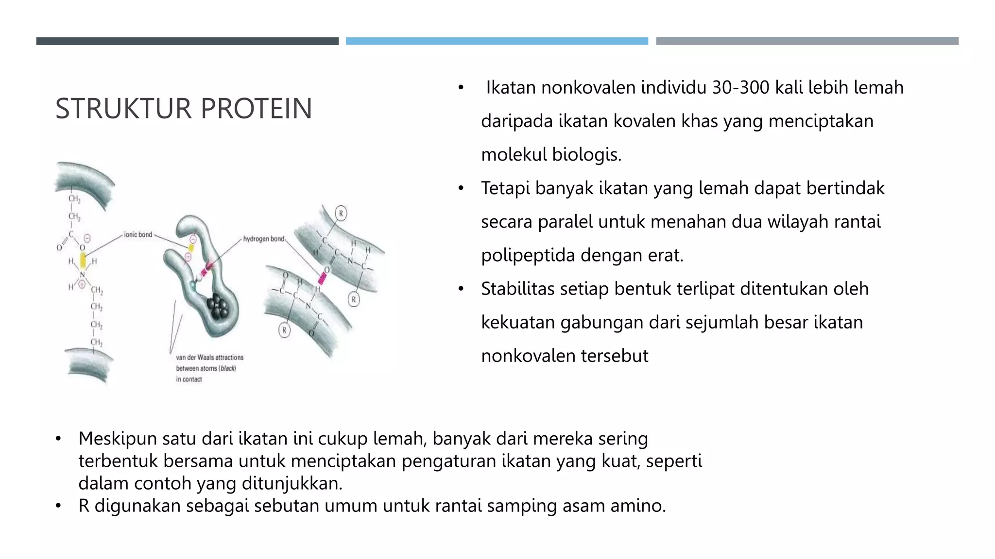 structure protein.pptx