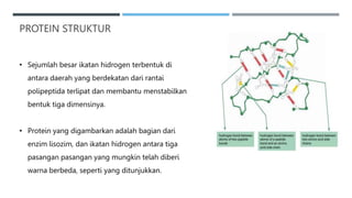 structure protein.pptx