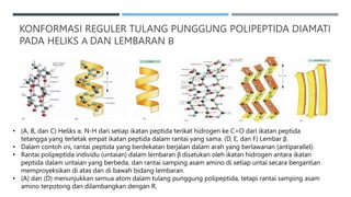structure protein.pptx