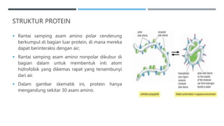 structure protein.pptx