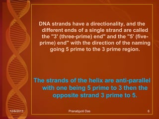 Structure & Replication of DNA | PPTX