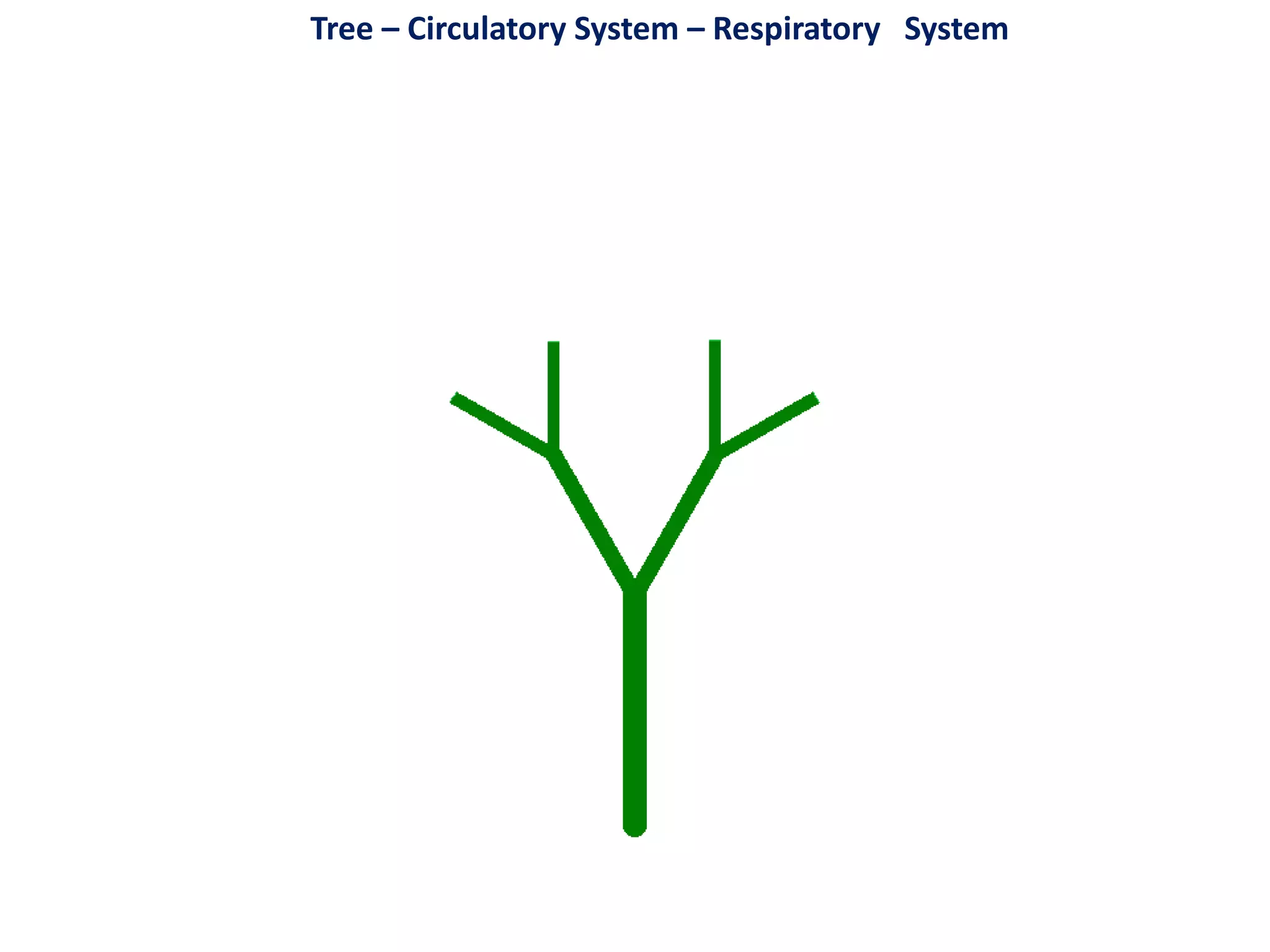 Repetitive Structures i.e. Fractals | PPT
