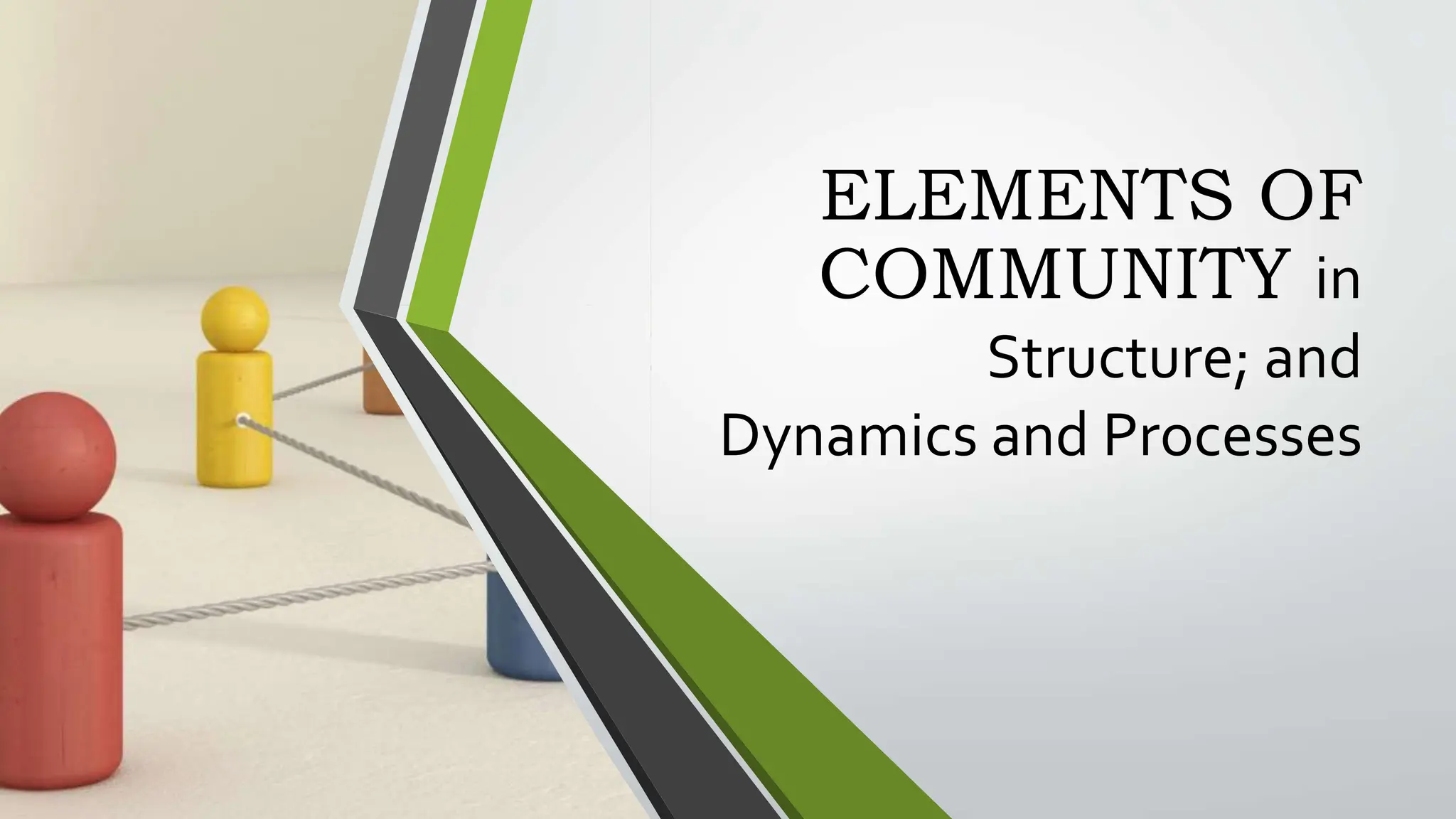 structures of community CESC SHS HUMMSSS | PPTX