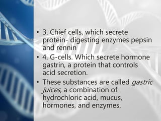 Structures and functions of human digestive system | PPTX