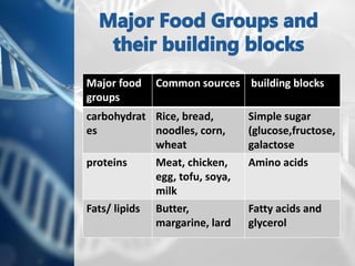 Structures and functions of human digestive system | PPTX