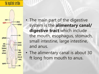 Structures and functions of human digestive system | PPTX