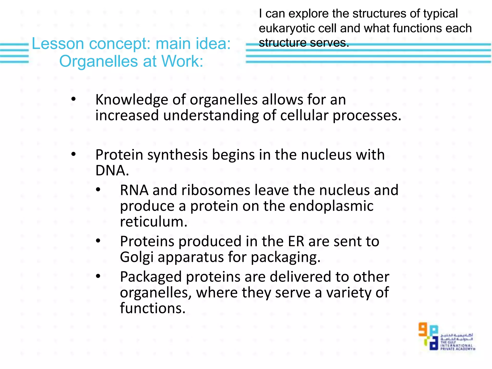 structures and organelles lesson 4.2.pptx
