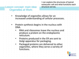 structures and organelles lesson 4.2.pptx