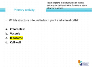 structures and organelles lesson 4.2.pptx