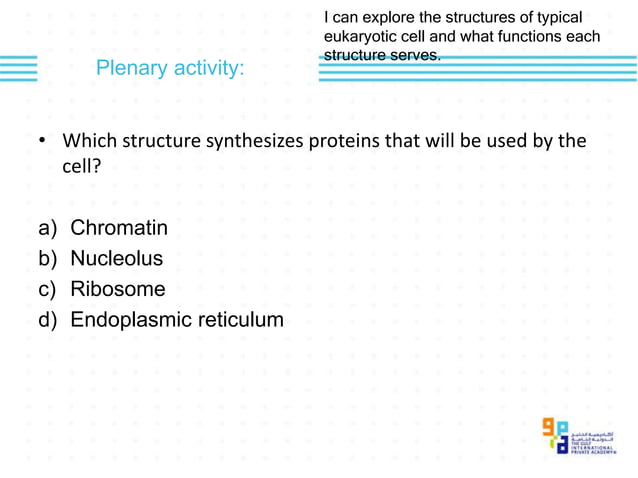 structures and organelles lesson 4.2.pptx | Biological Sciences | Science