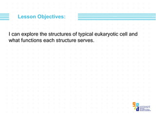 structures and organelles lesson 4.2.pptx