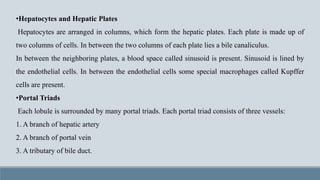 Structure, Secretions and Function of Liver.pptx