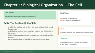 Comprehensive Exploration of Structures and Functions in Living Things ...