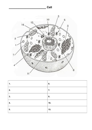Structures of a cell quiz | DOC