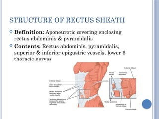 Structures of Anterior & Posterior Abdominal Wall by Dr.Rumaisa PT | PPTX