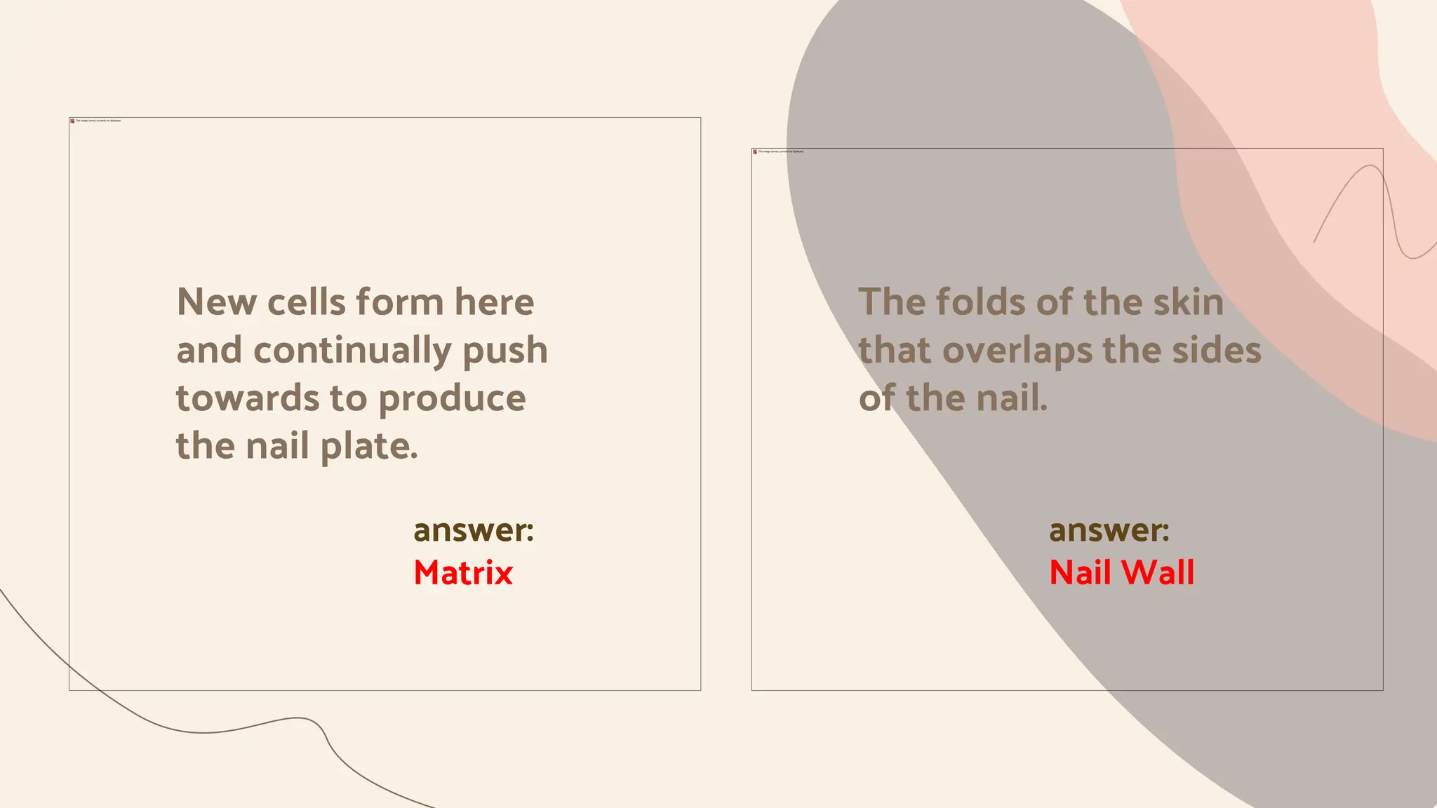 Structures of Nails.pptx