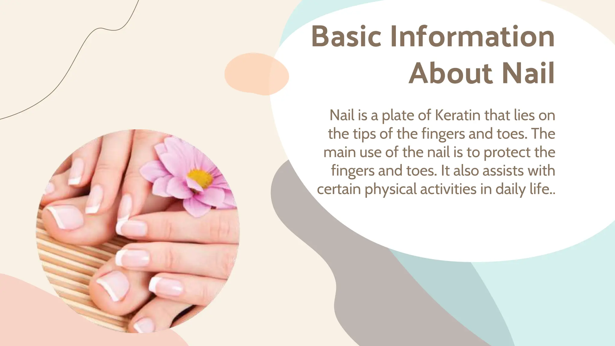 Structures of Nails.pptx