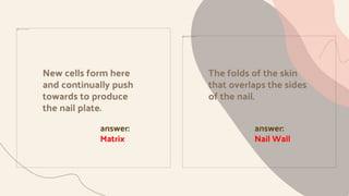 Structures of Nails.pptx