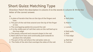 Structures of Nails.pptx | Nail Care | Beauty
