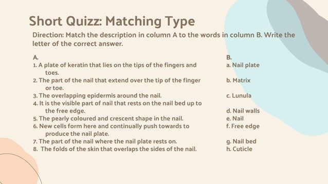 Structures of Nails.pptx | Nail Care | Beauty