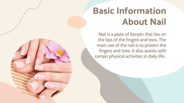 Structures of Nails.pptx | Nail Care | Beauty