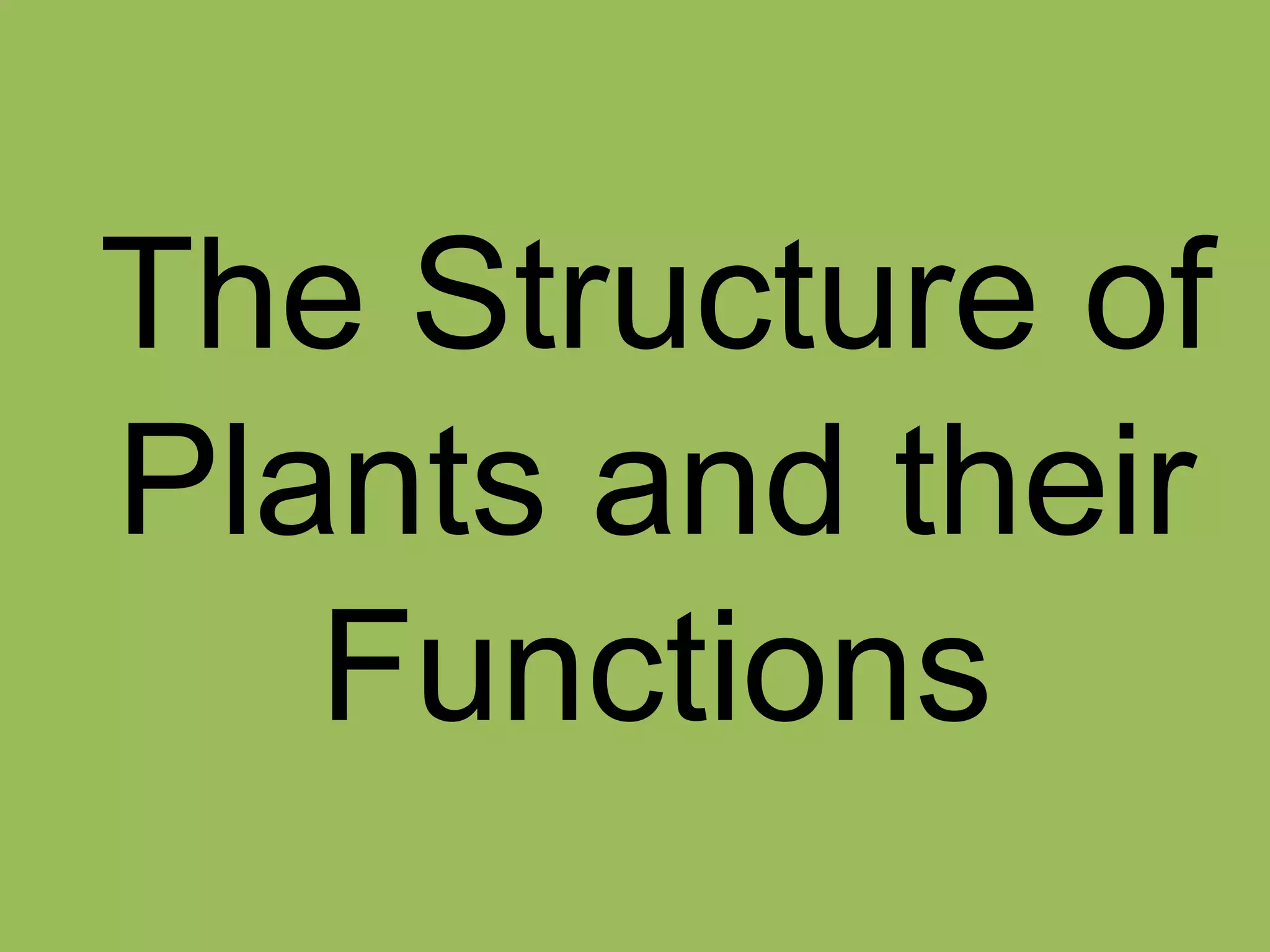 Structures of Plants | PPT