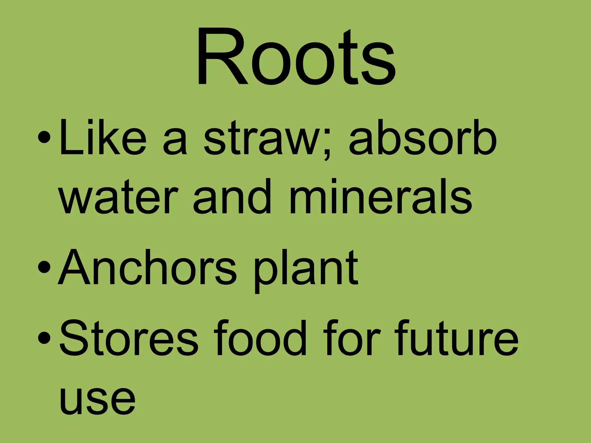 Structures of Plants | PPT