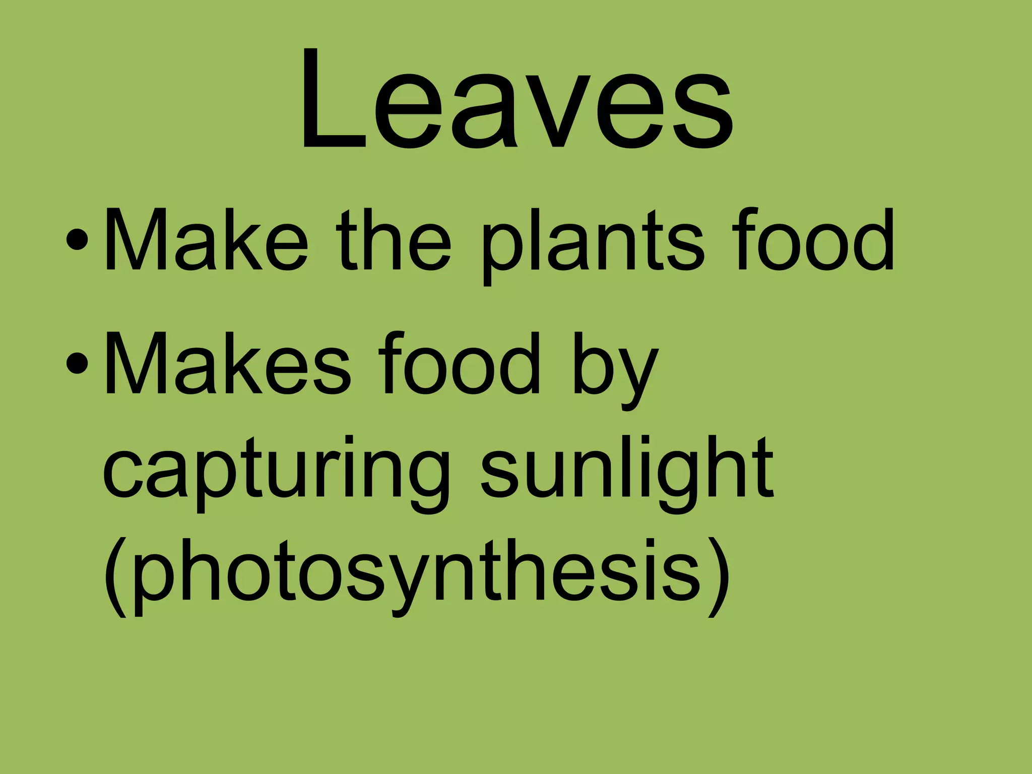 Structures of Plants | PPT