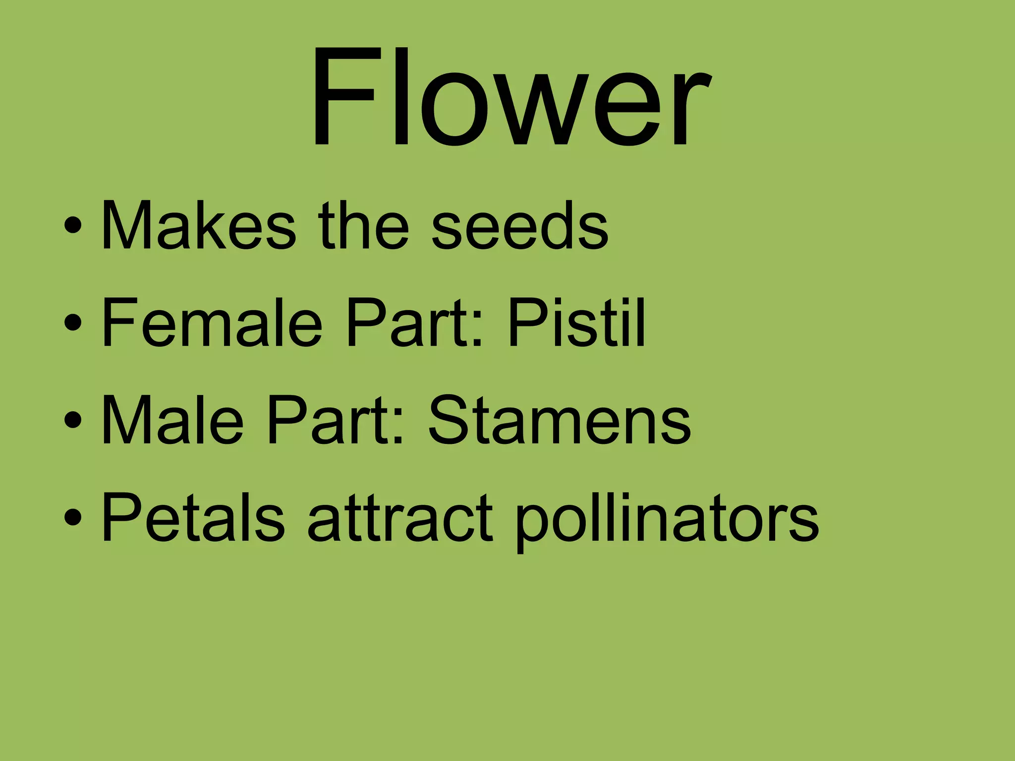 Structures of Plants | PPT