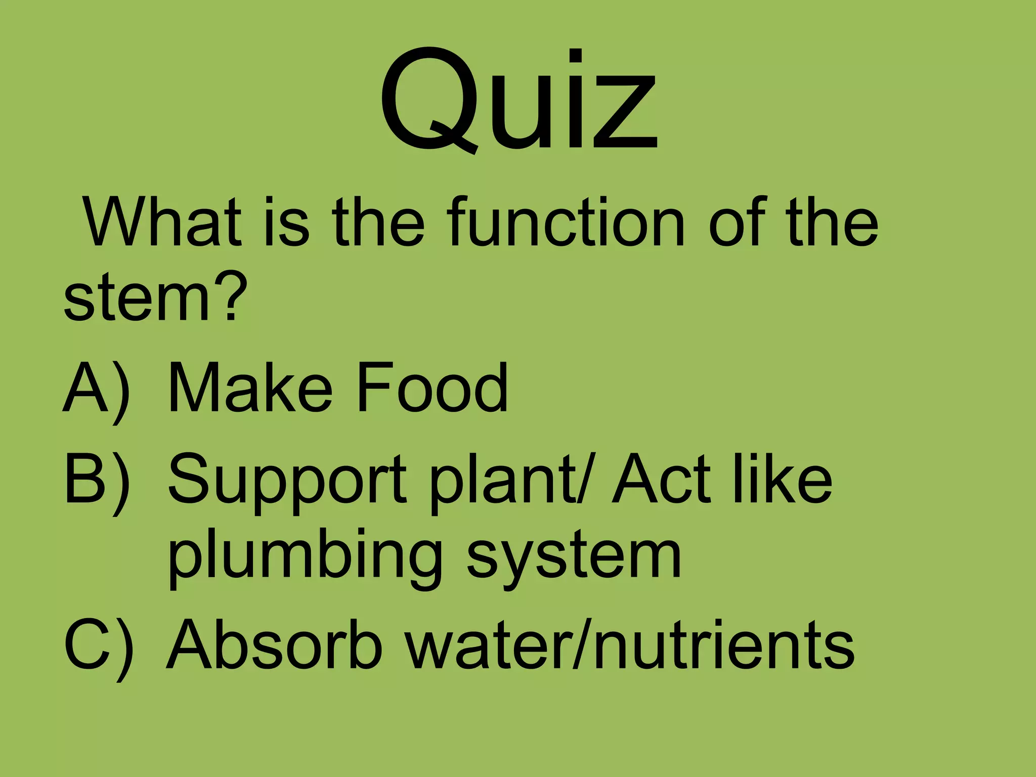 Structures of Plants | PPT