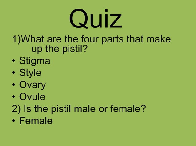 Structures of Plants | PPT