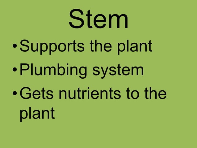 Structures of Plants | PPT