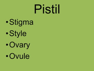 Structures of Plants | PPT