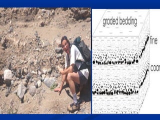 Structures of sedimentary rocks | PPT