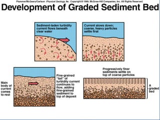 Graded Bedding Diagram