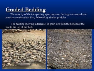 Graded Bedding Sedimentary Rocks