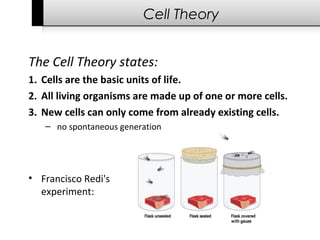 Cells: structure | PPT