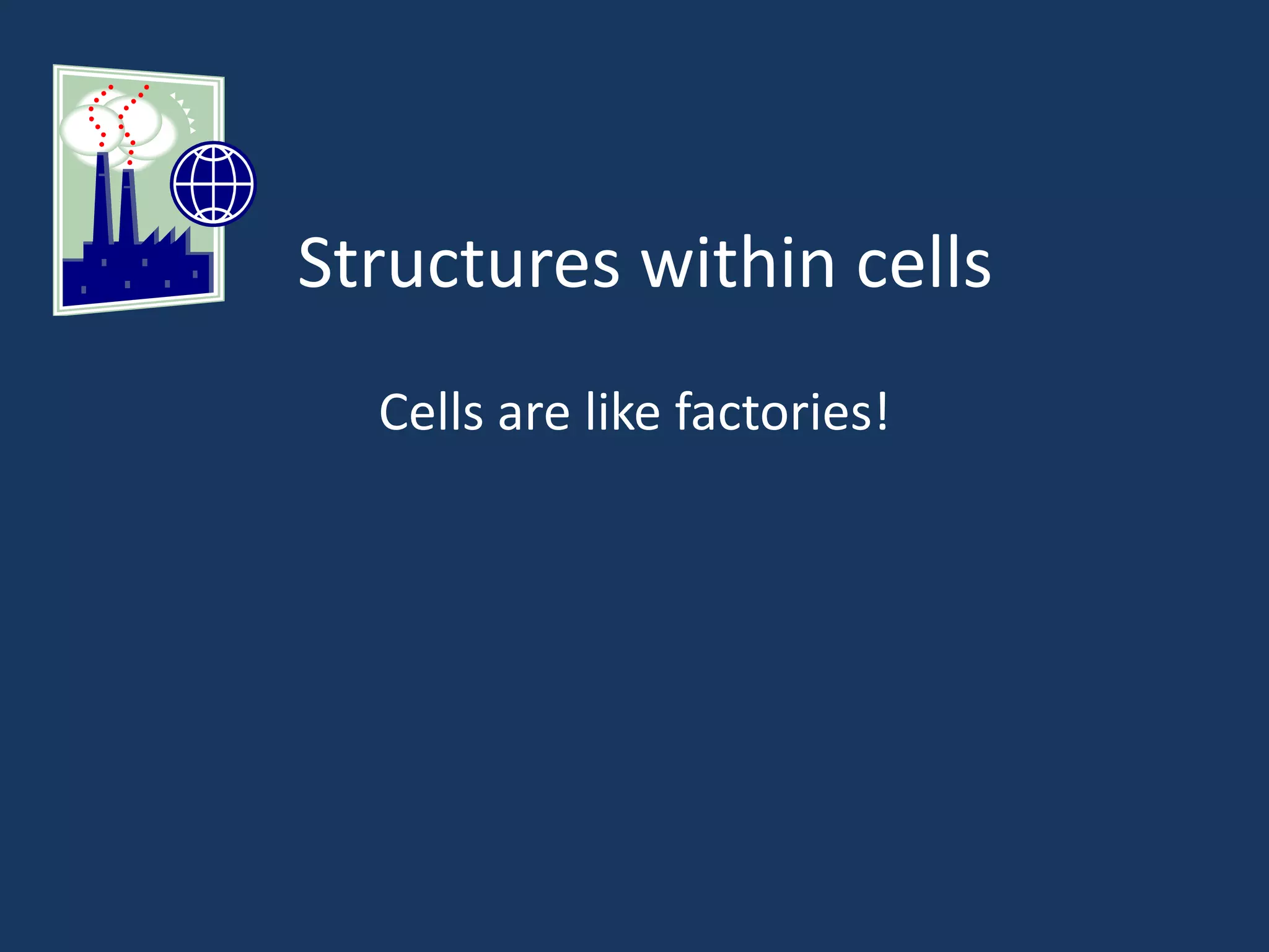 Structures within cells power point | PPTX