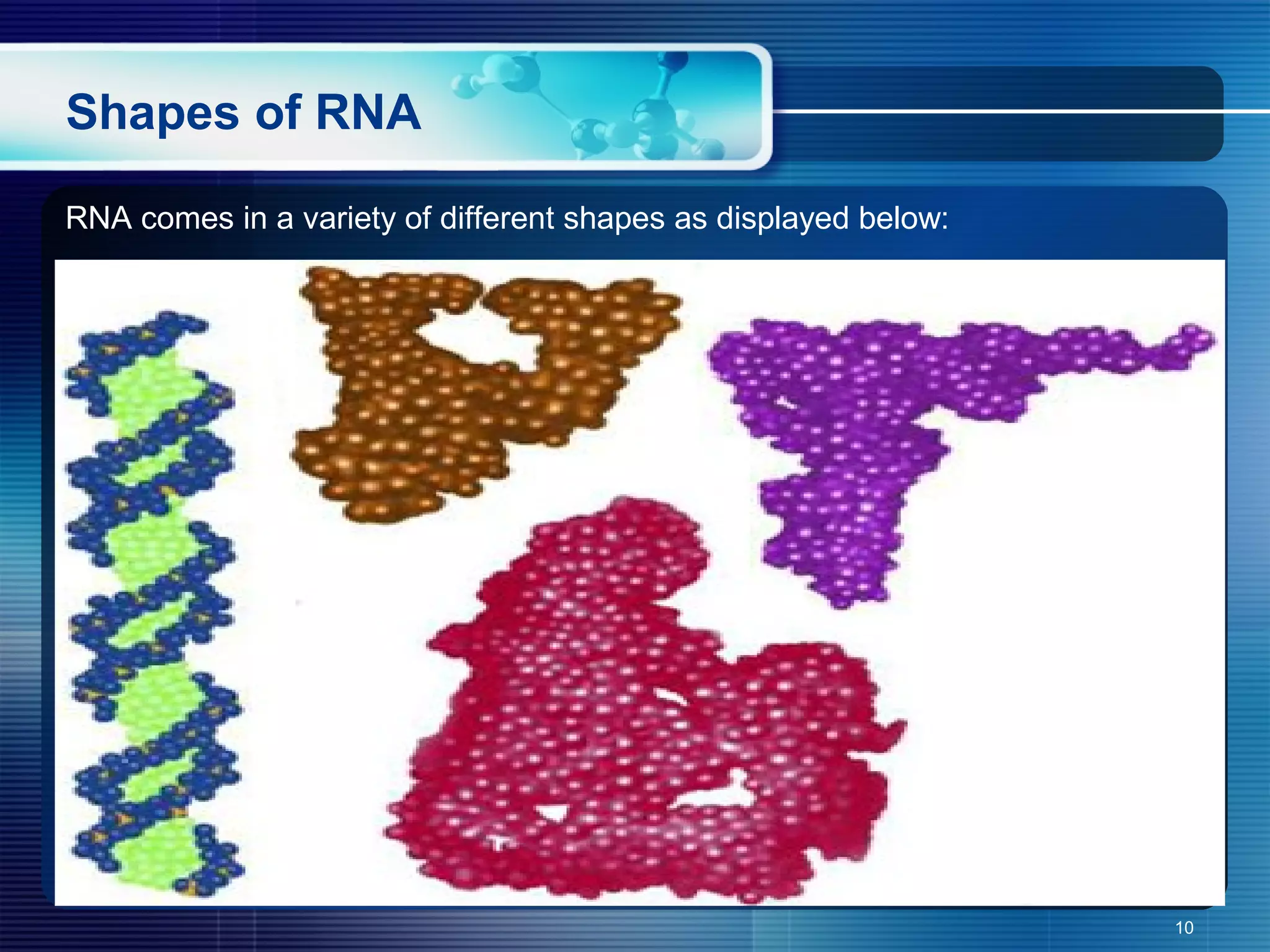 Structure & types of rna | PPT