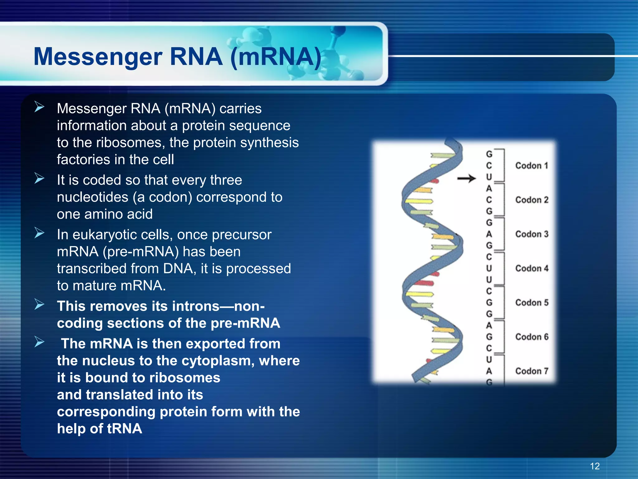 Structure & types of rna | PPT