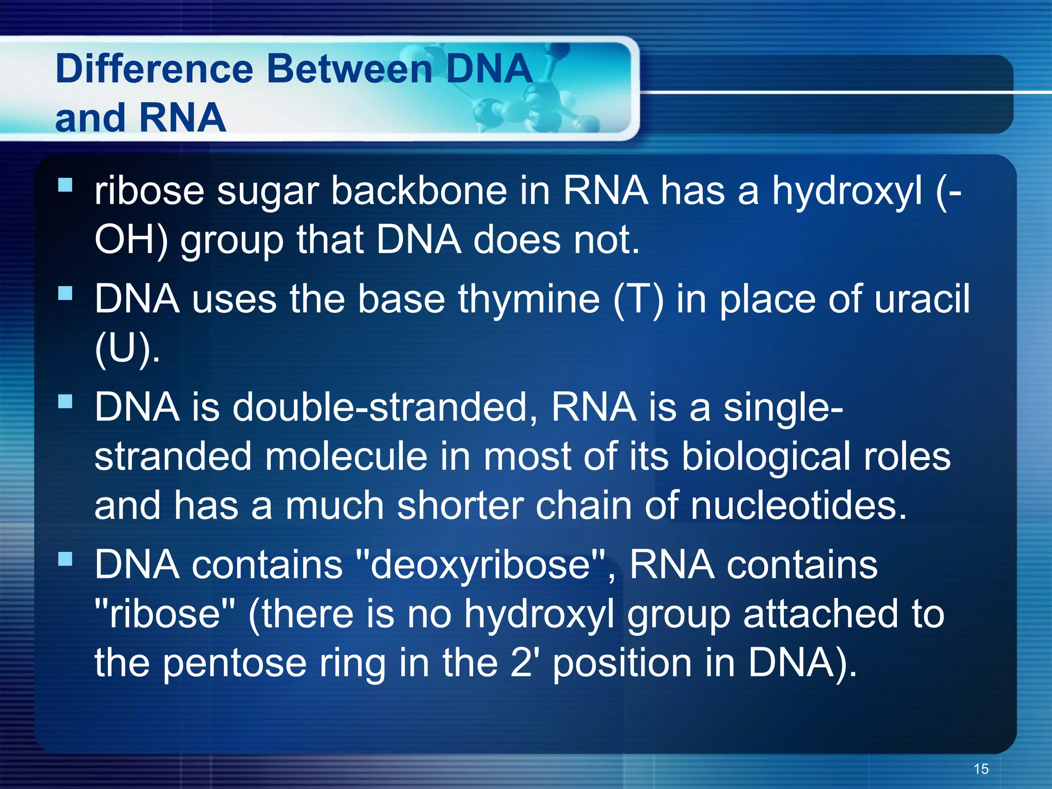 Structure & types of rna | PPT