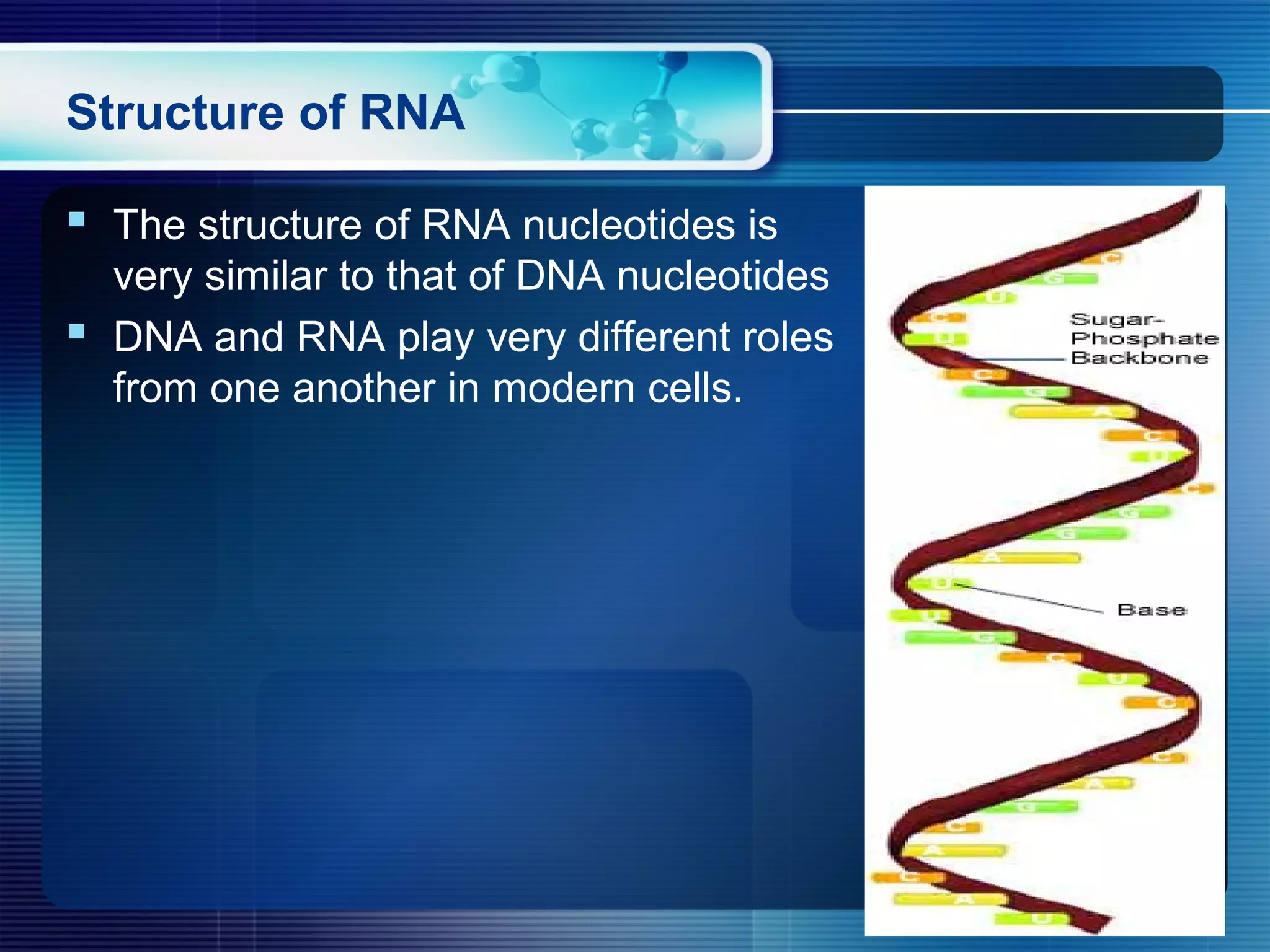 Structure & types of rna | PPT