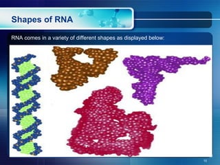 Structure & types of rna | PPT