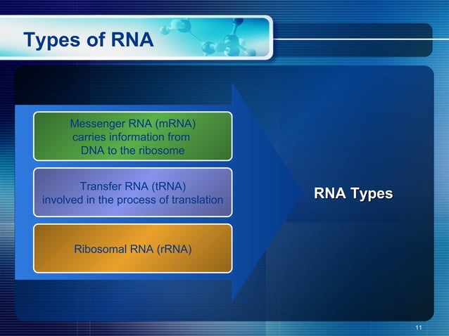 Structure & types of rna | PPT