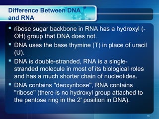 Structure & types of rna | PPT