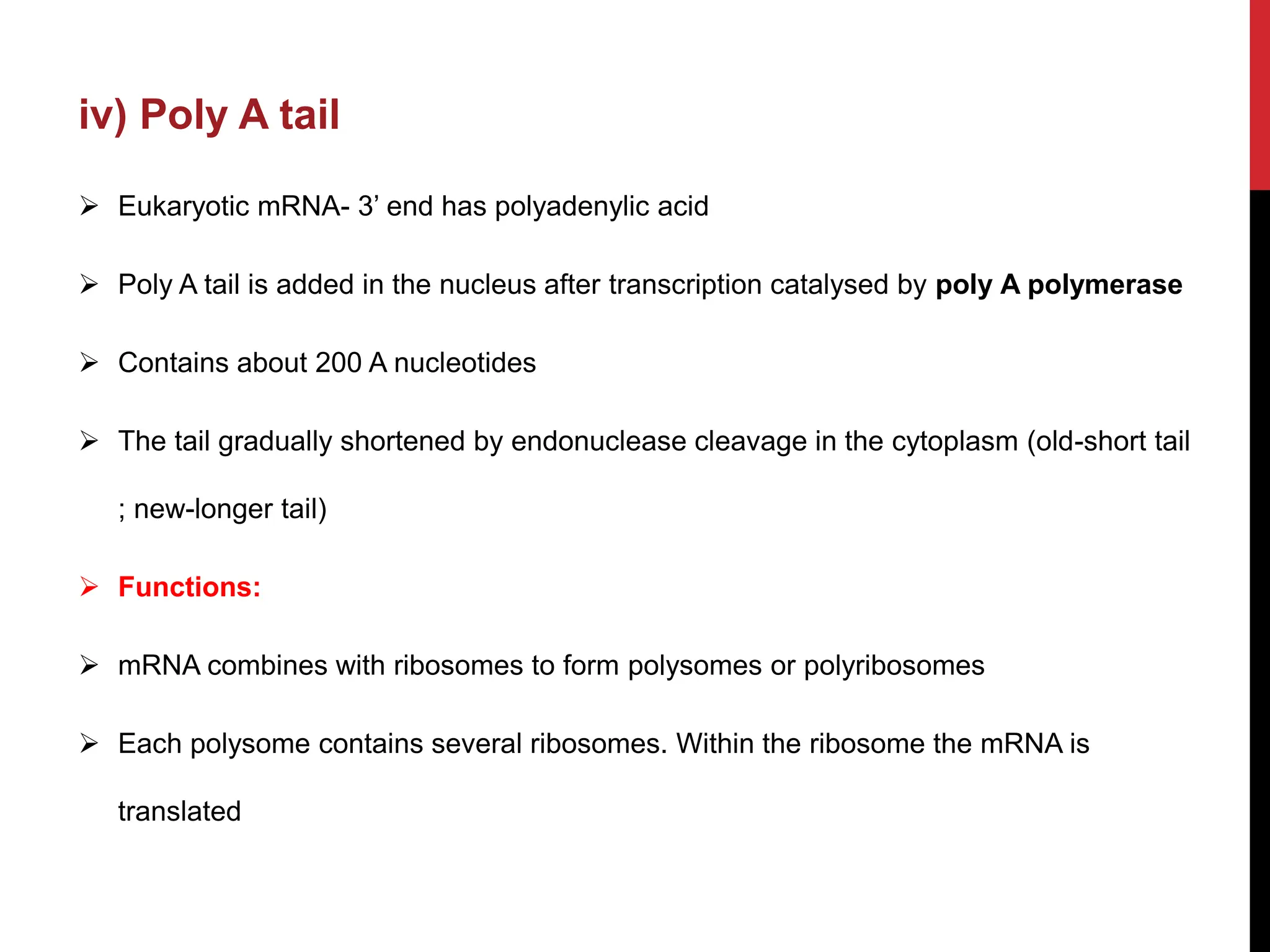Structure and types of RNA .pptx
