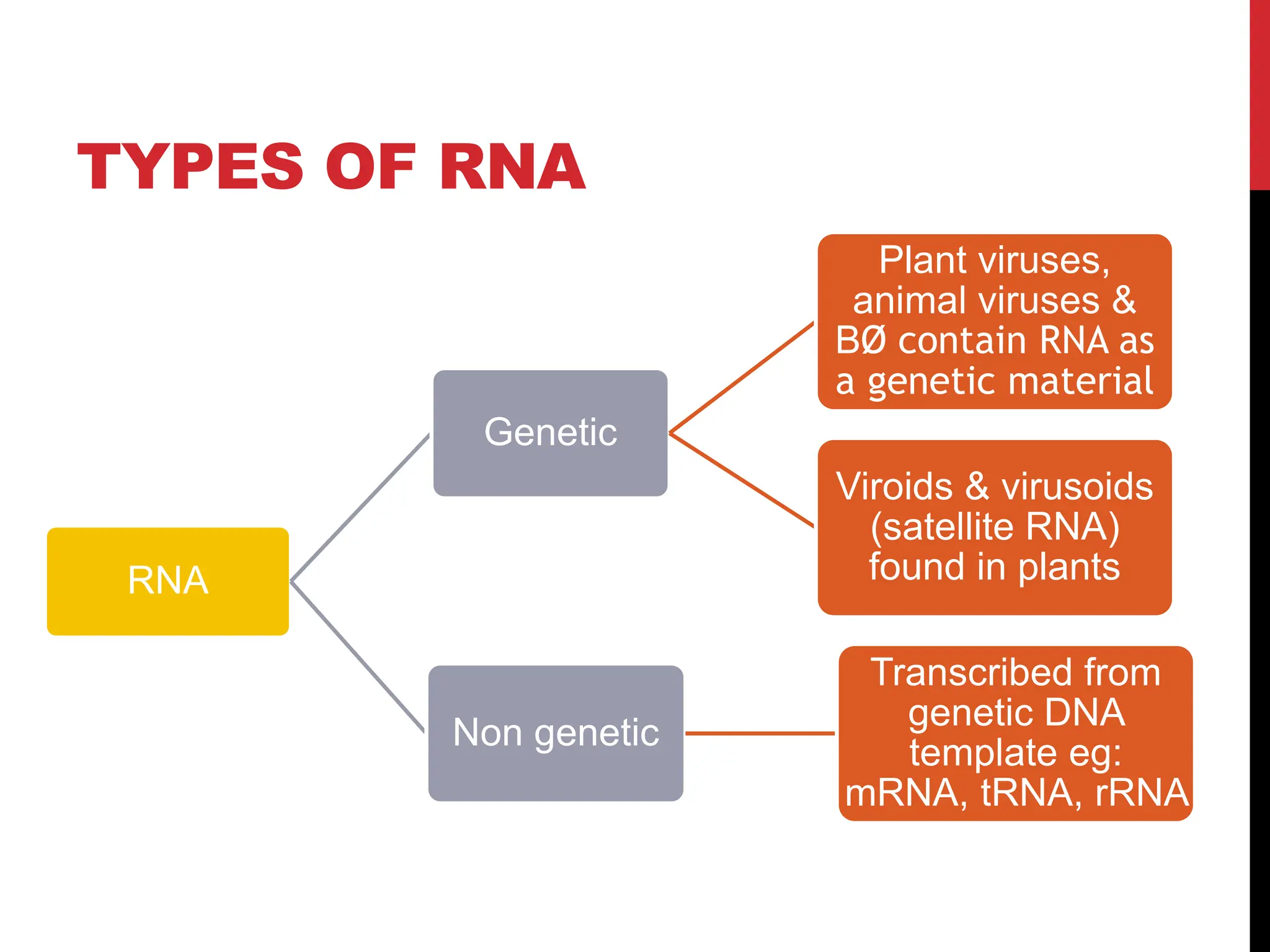 Structure and types of RNA .pptx | Biological Sciences | Science