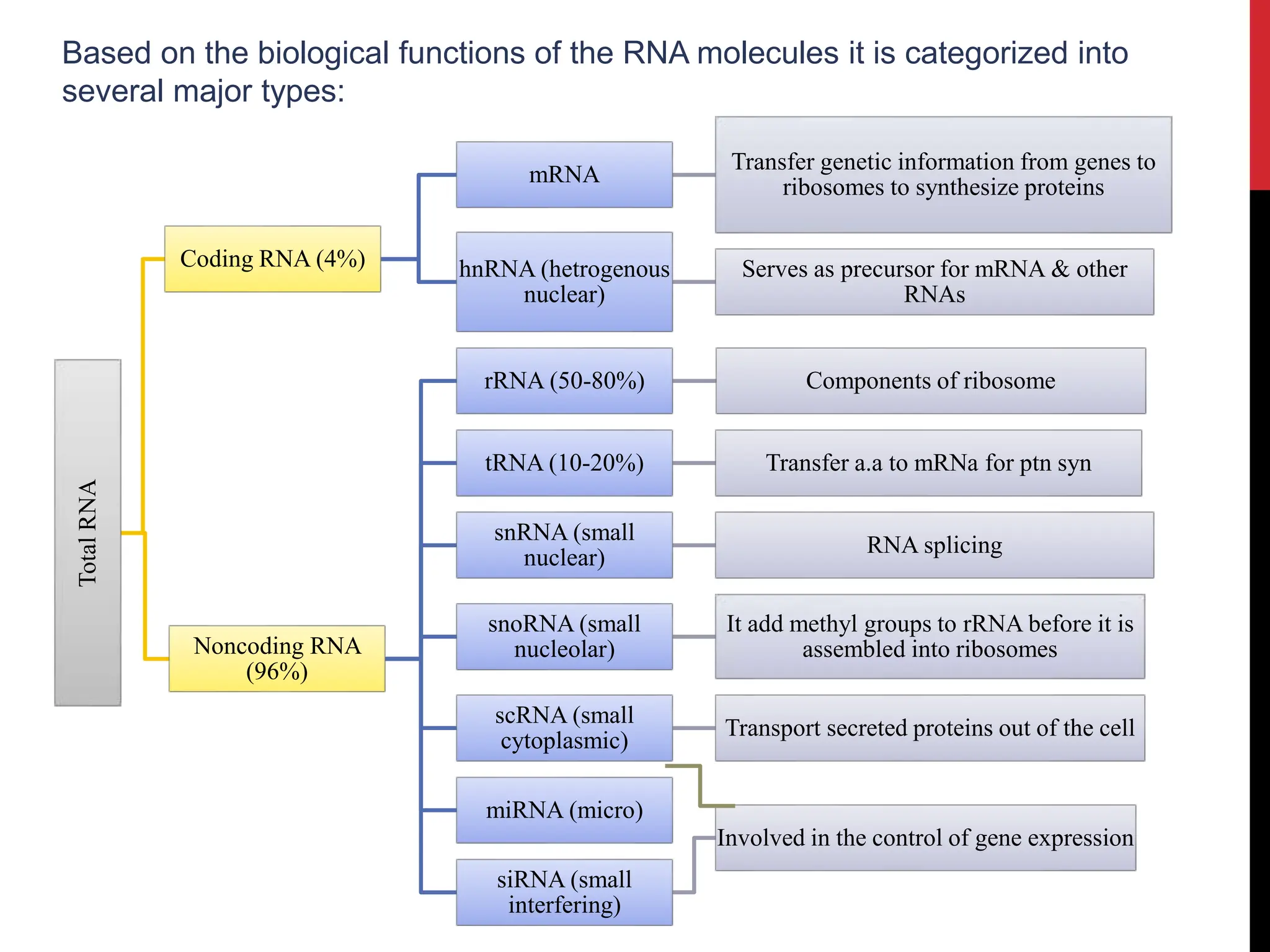 Structure and types of RNA .pptx | Biological Sciences | Science