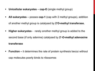 Structure and types of RNA .pptx
